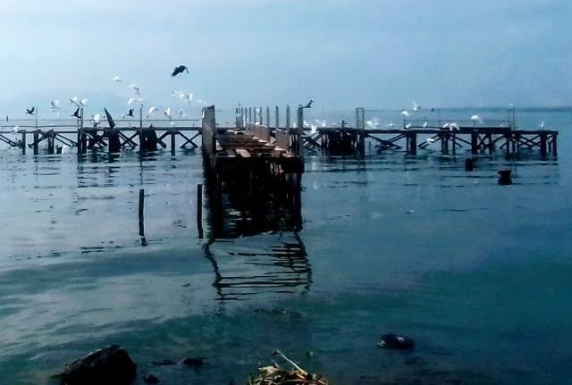 Building in Water: 5 Key Considerations to Keep in Mind - Construction ...